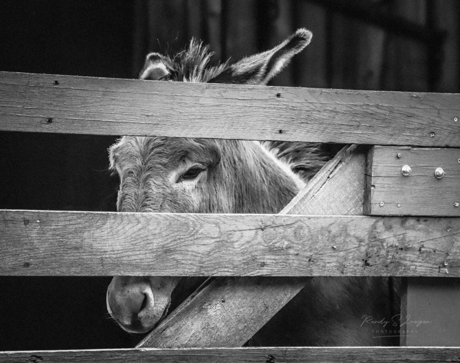Matthews Living History Farm Museum | Visit Galax, VA