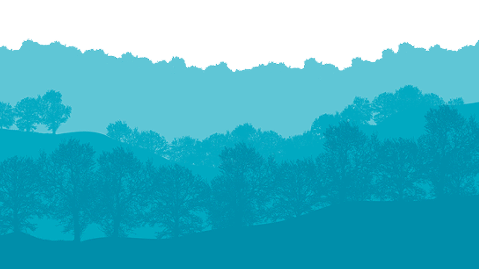 Experience the Magic of the Galax Old Fiddler's Convention | Visit Galax, VA