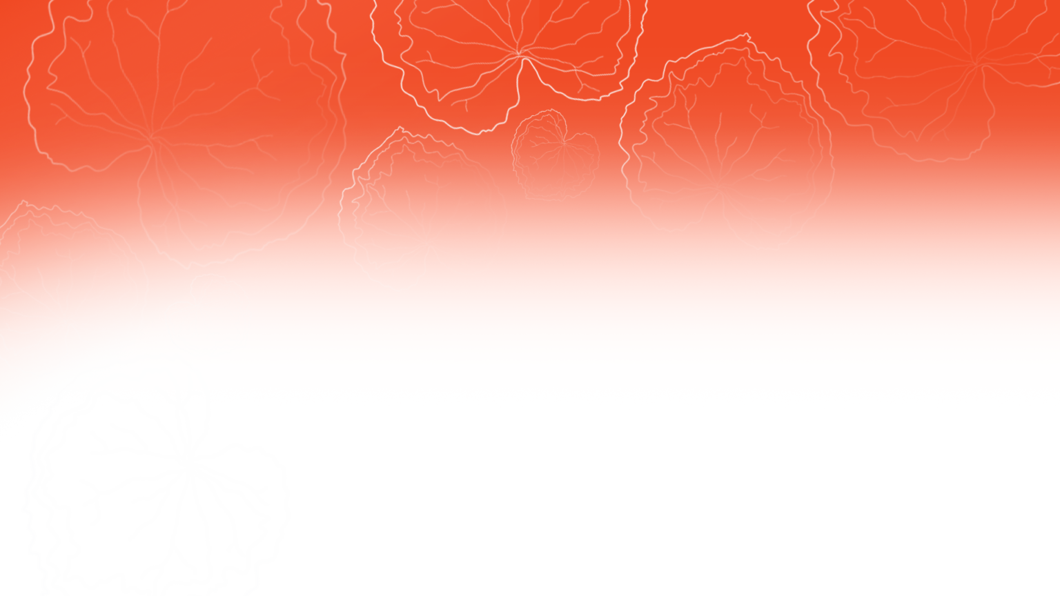 SAM MORROW | Visit Galax, VA