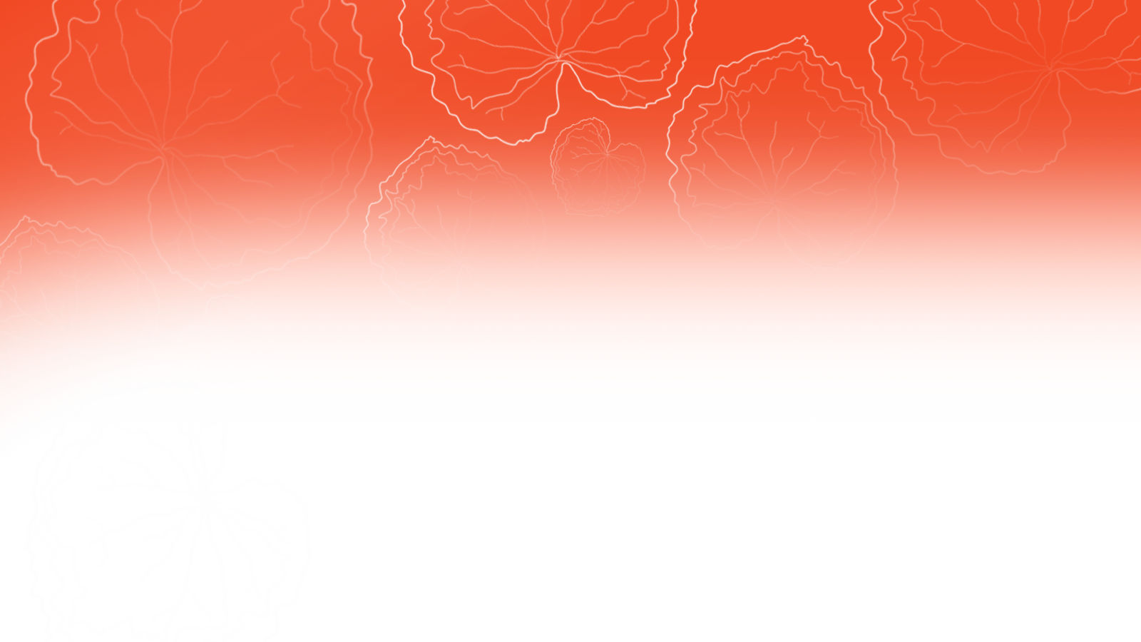 SAM MORROW | Visit Galax, VA