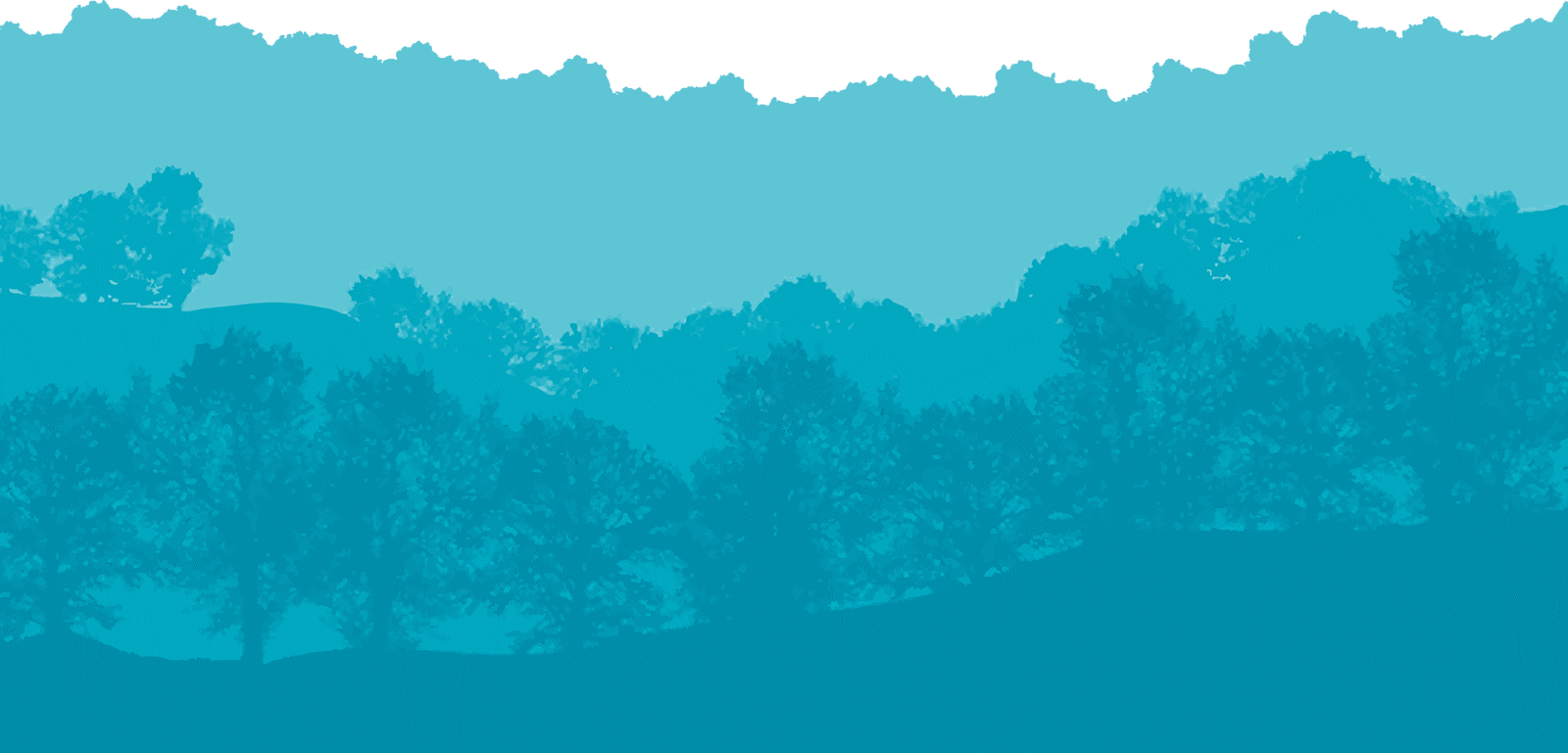 Galax Library | Visit Galax, VA